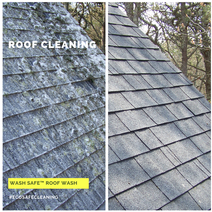 Wash Safe™ ROOF WASH Eco-Safe and Organic Roof Cleaner | Clear, Bleach ...