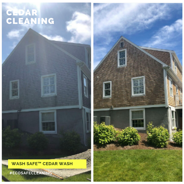 Wash Safe™ CEDAR WASH Eco-Safe and Organic Wood Cleaner | Clear, Bleac ...