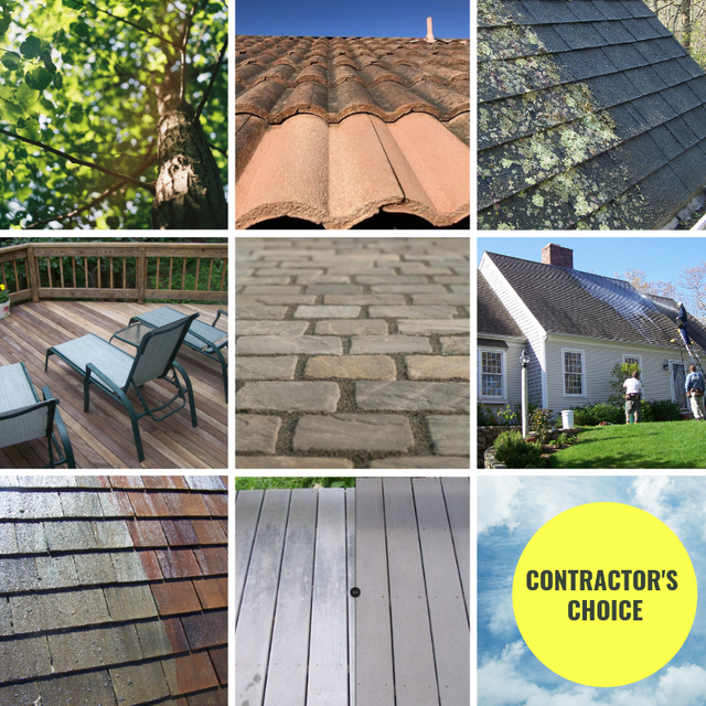 Wash Safe™ SUPREME Eco-Safe and Organic All-Purpose Exterior Cleaner ...